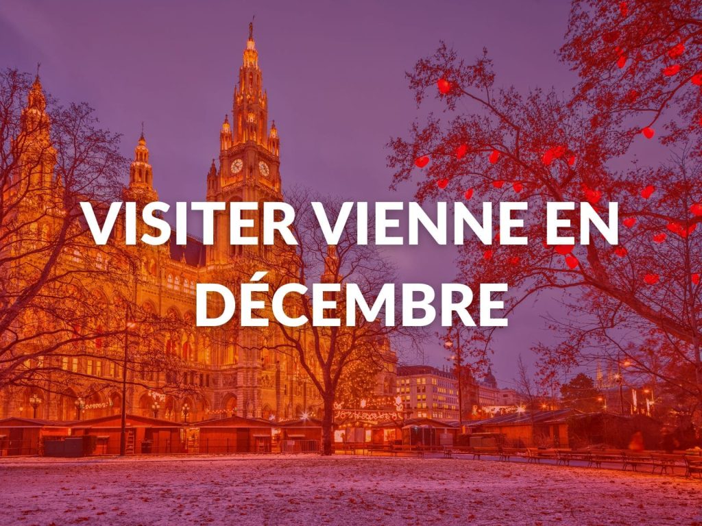 Visiter Vienne en Décembre: 10 Choses a Faire et Conseils 2025